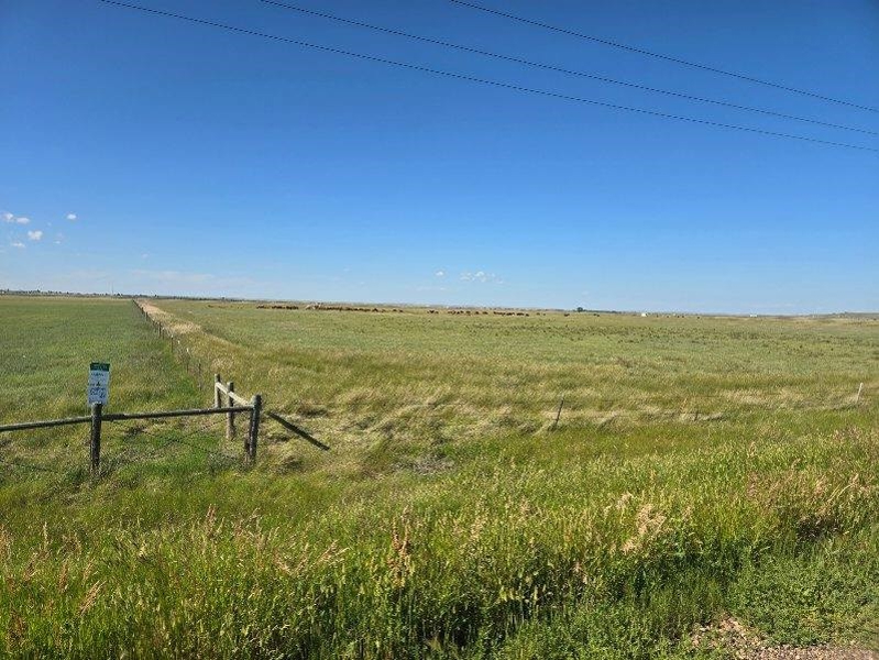 Flood Irrigated Hay Ground Saco Montana For Sale