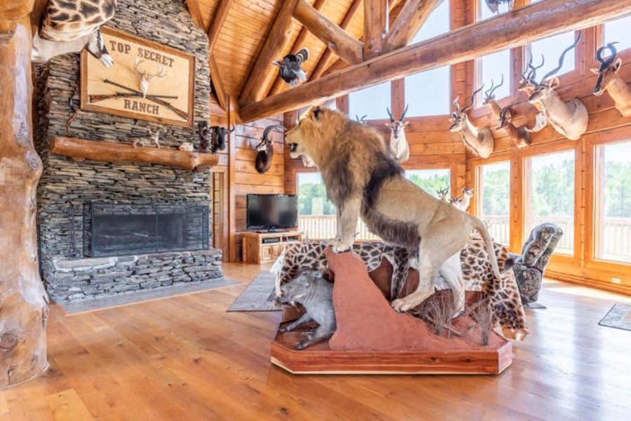 High Fence Hunting Ranch with Log Lodge
