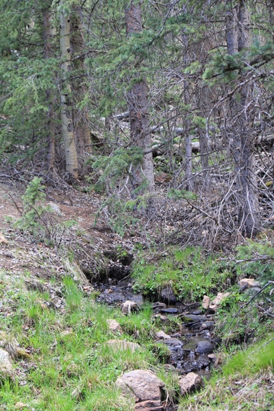 76 Acres Bordering National Forest with Views