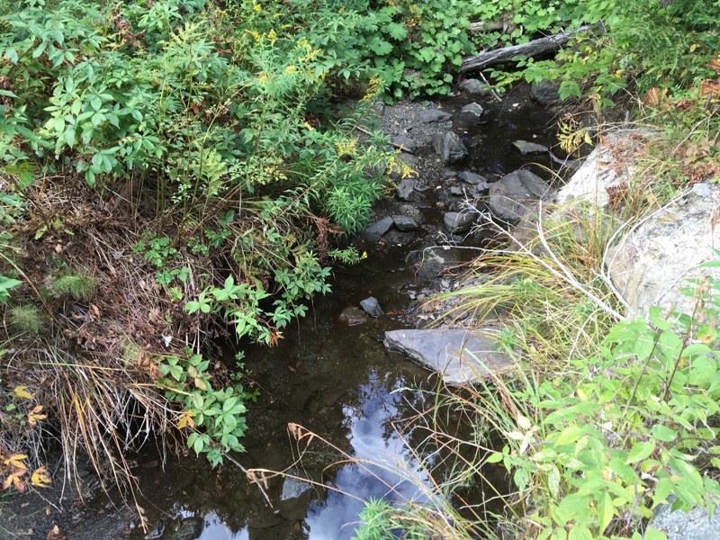 Off Grid Bug Out Land with Trout Stream