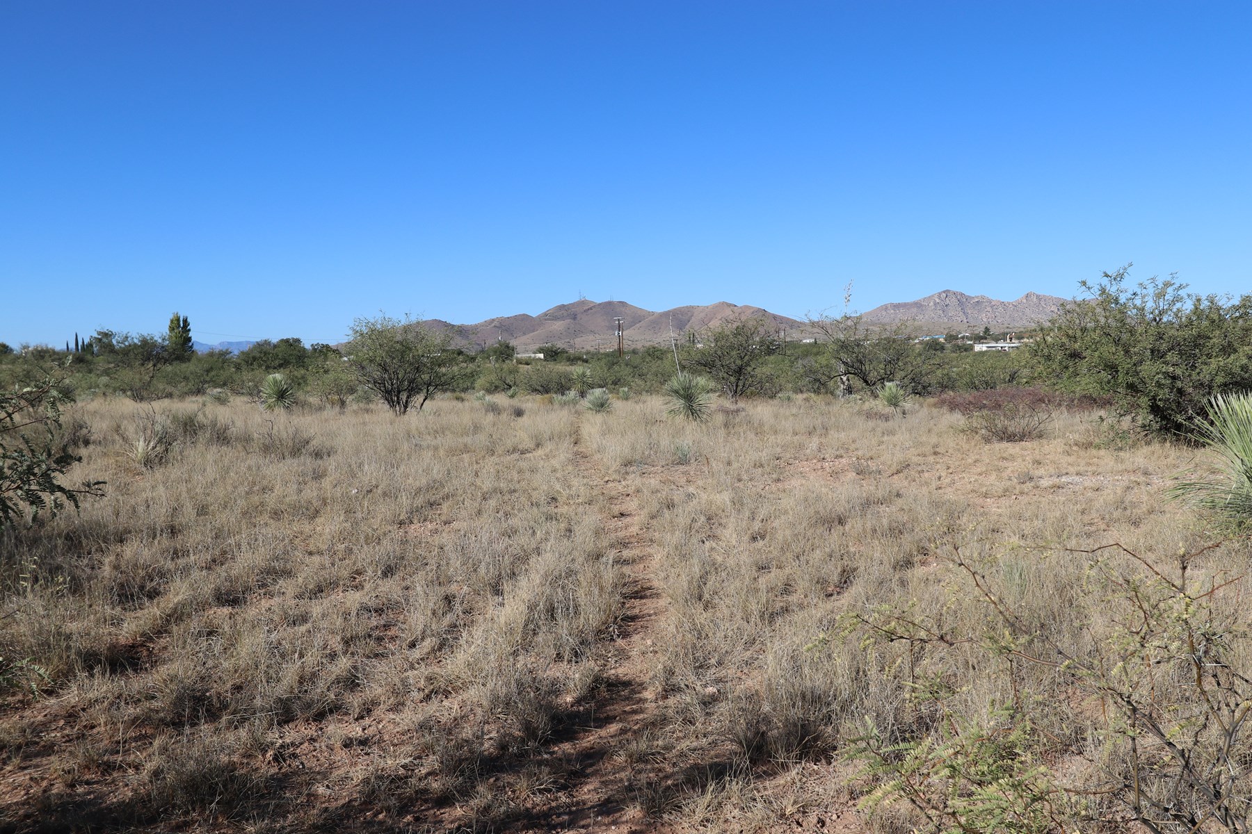 80 acres in historic Dragoon, AZ on Flying Horseshoe Ranch