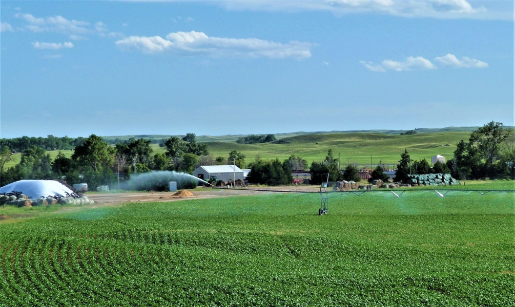 Meister Nebraska Sandhill Ranch & Feedlot For Sale