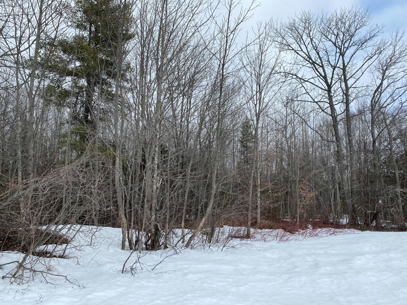 Maine Timber & Recreation Land for Sale