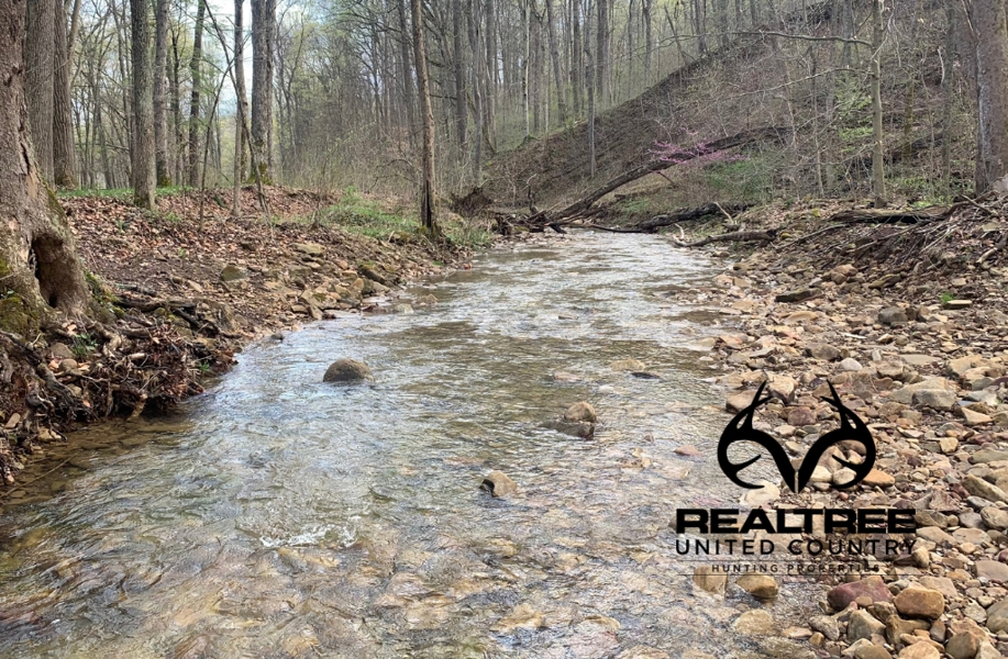 230 Acres Adjoining Pike State Forest