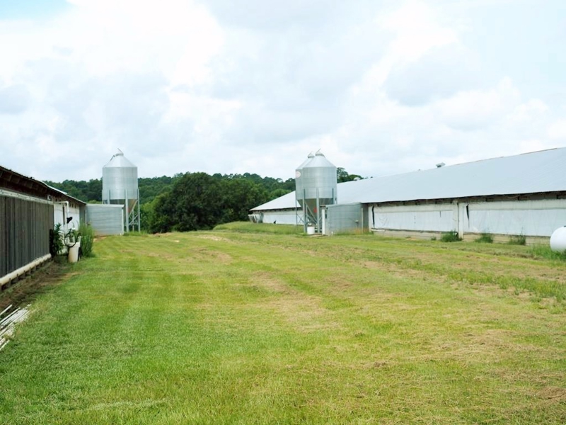 6 House Broiler Poultry Farm 41 acres For Sale in MS