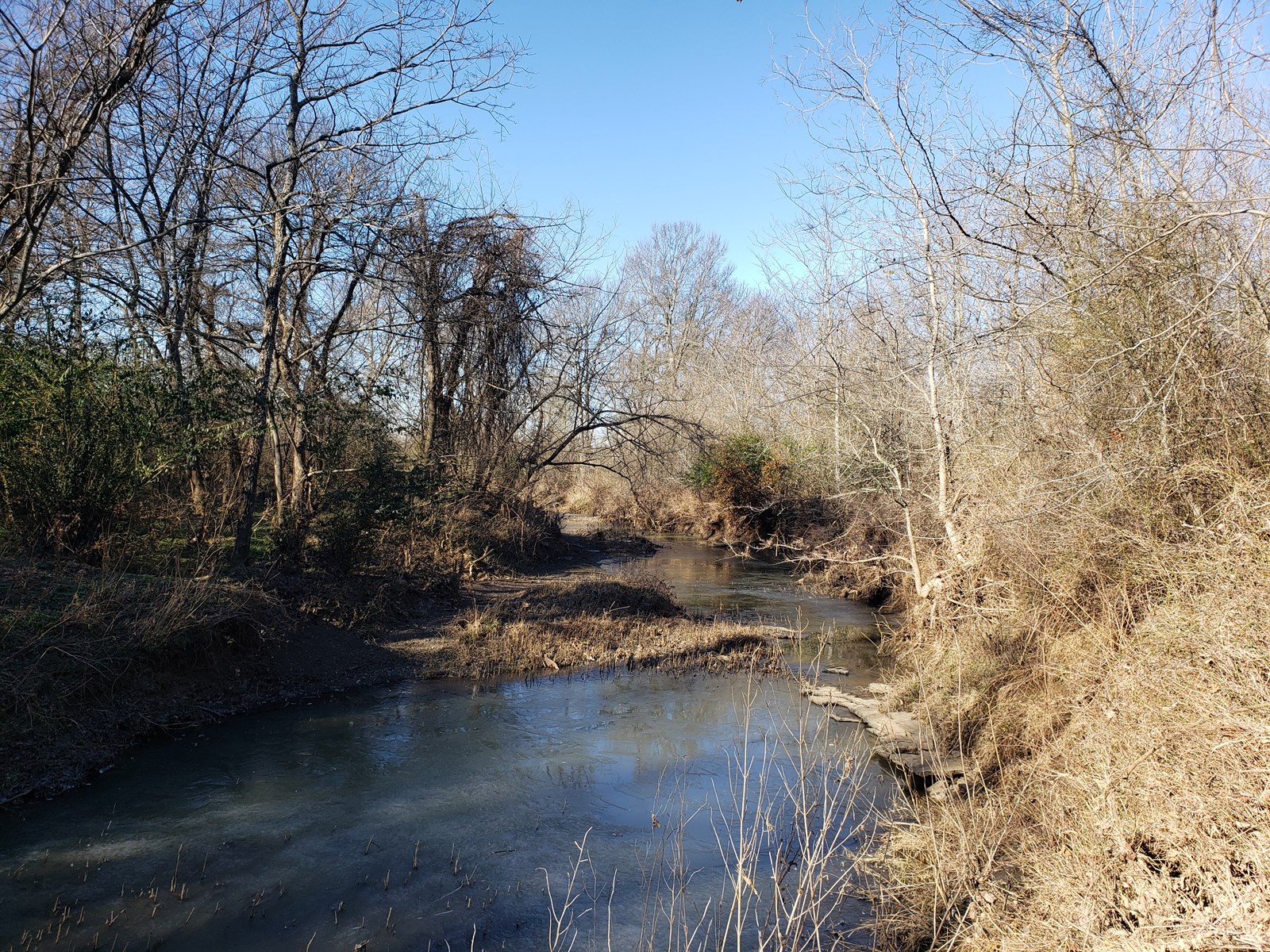Kerr Lake Home & 5 Acres