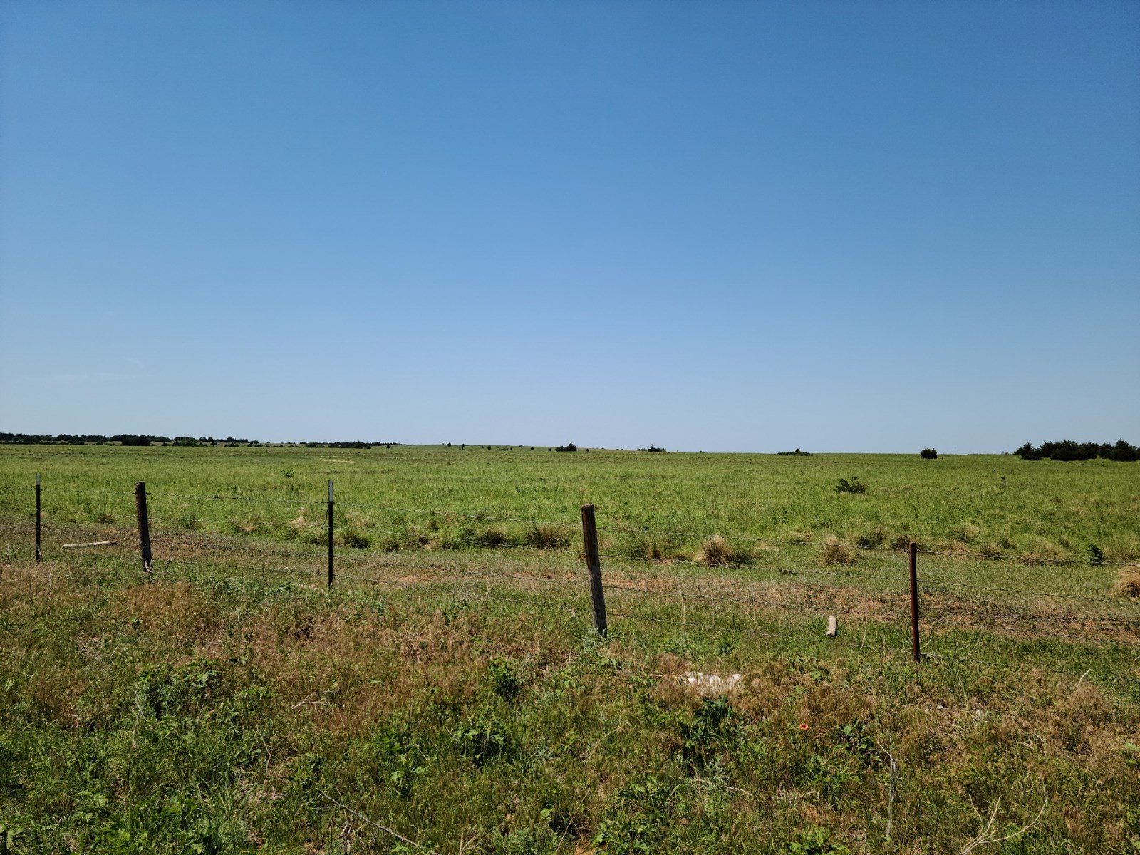 160 Acres Prime Pasture Land