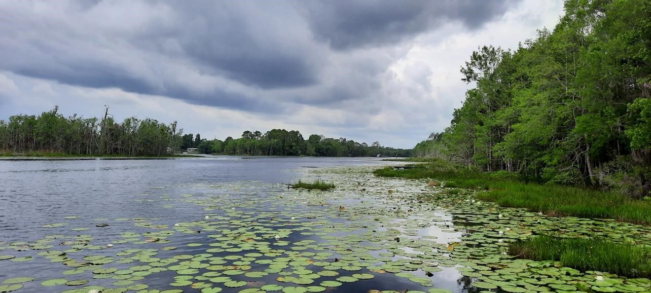 Hawthorne Florida - Skinner Lake!