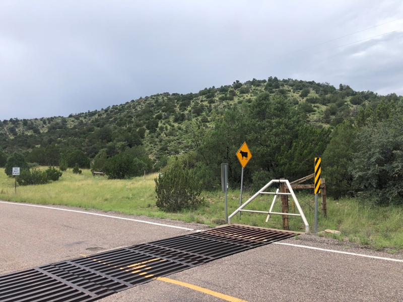 20 acres US Forest Inlet