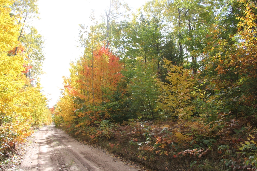 Northern Michigan Hunting Land 10-Acres Cheboygan, MI Wooded