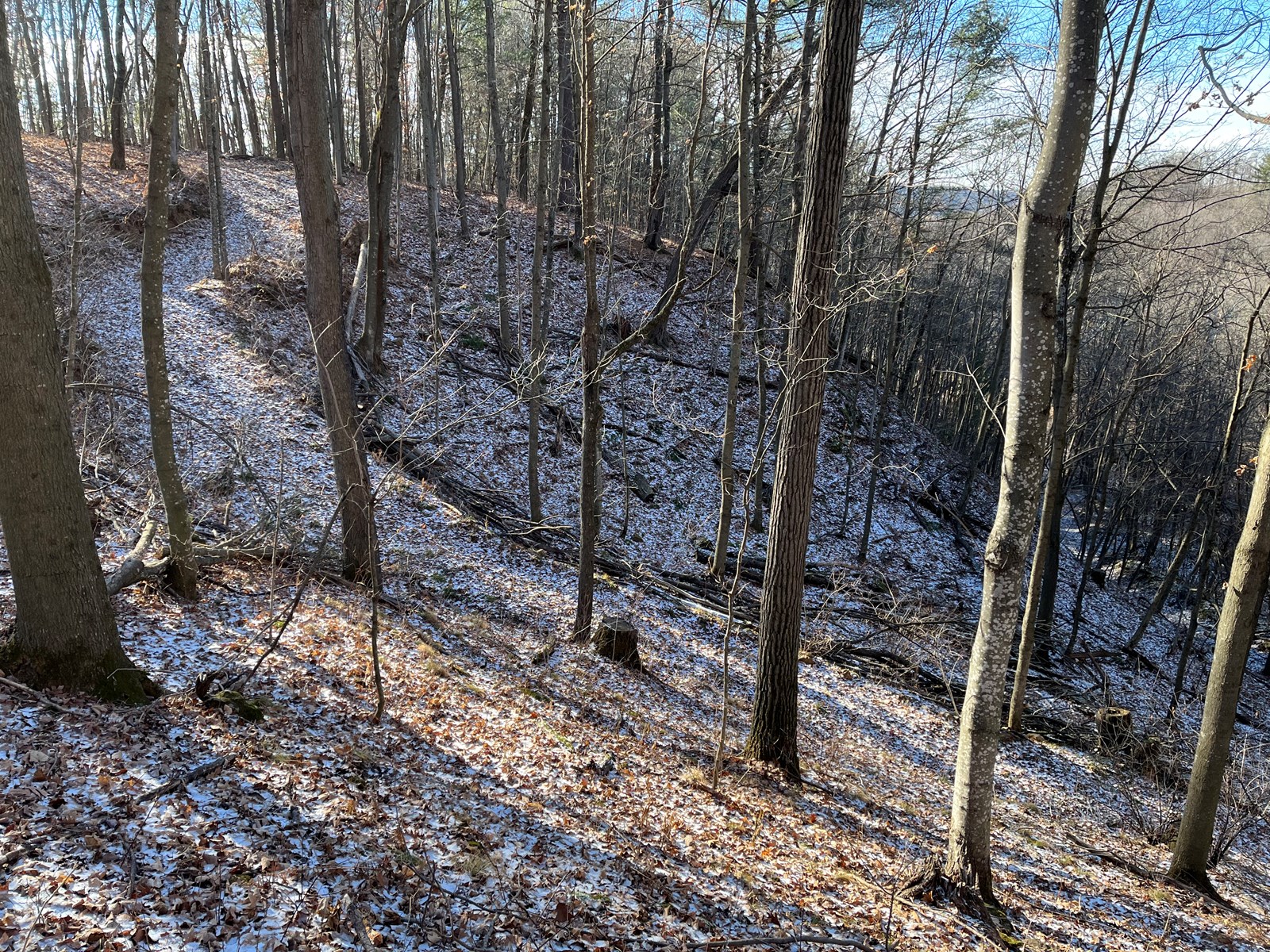 Wilton, WI, 29+ Acres – One of Coulee Countries Finest!