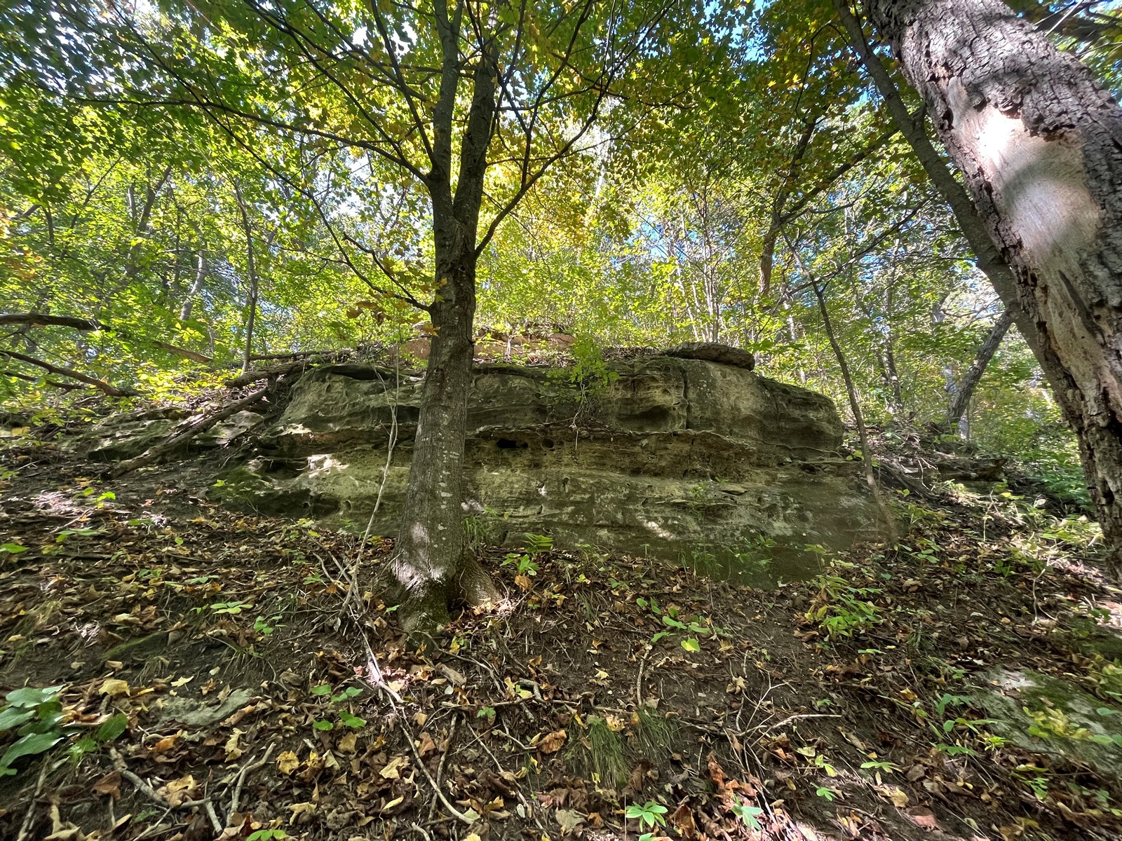 Wilton, WI, 29+ Acres – One of Coulee Countries Finest!