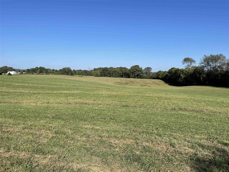 70.3 acre pasture & hay land for sale near Smiths Grove, Ky.