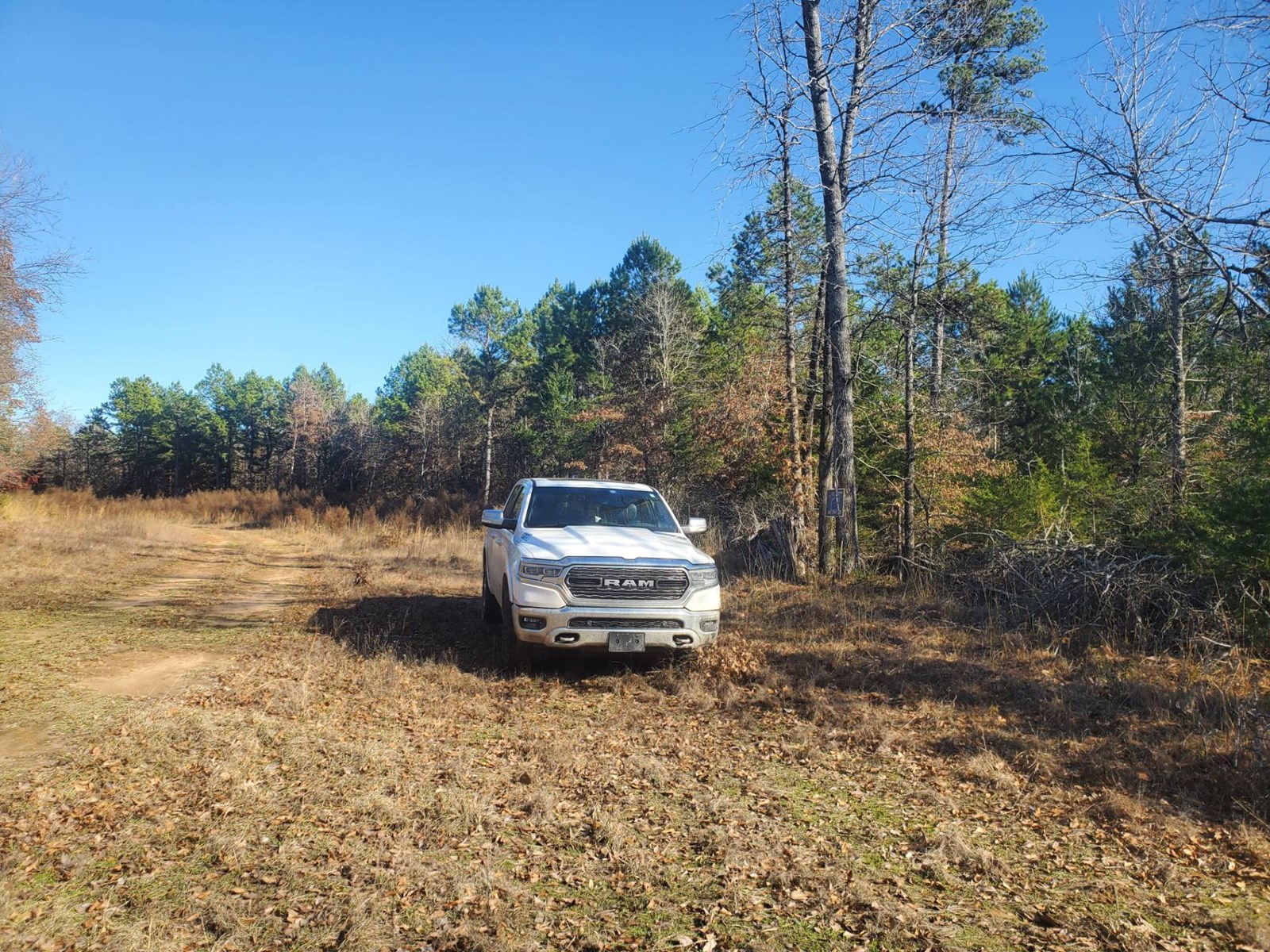 6.79 Creek-Front Off-Grid Acres Rattan Oklahoma