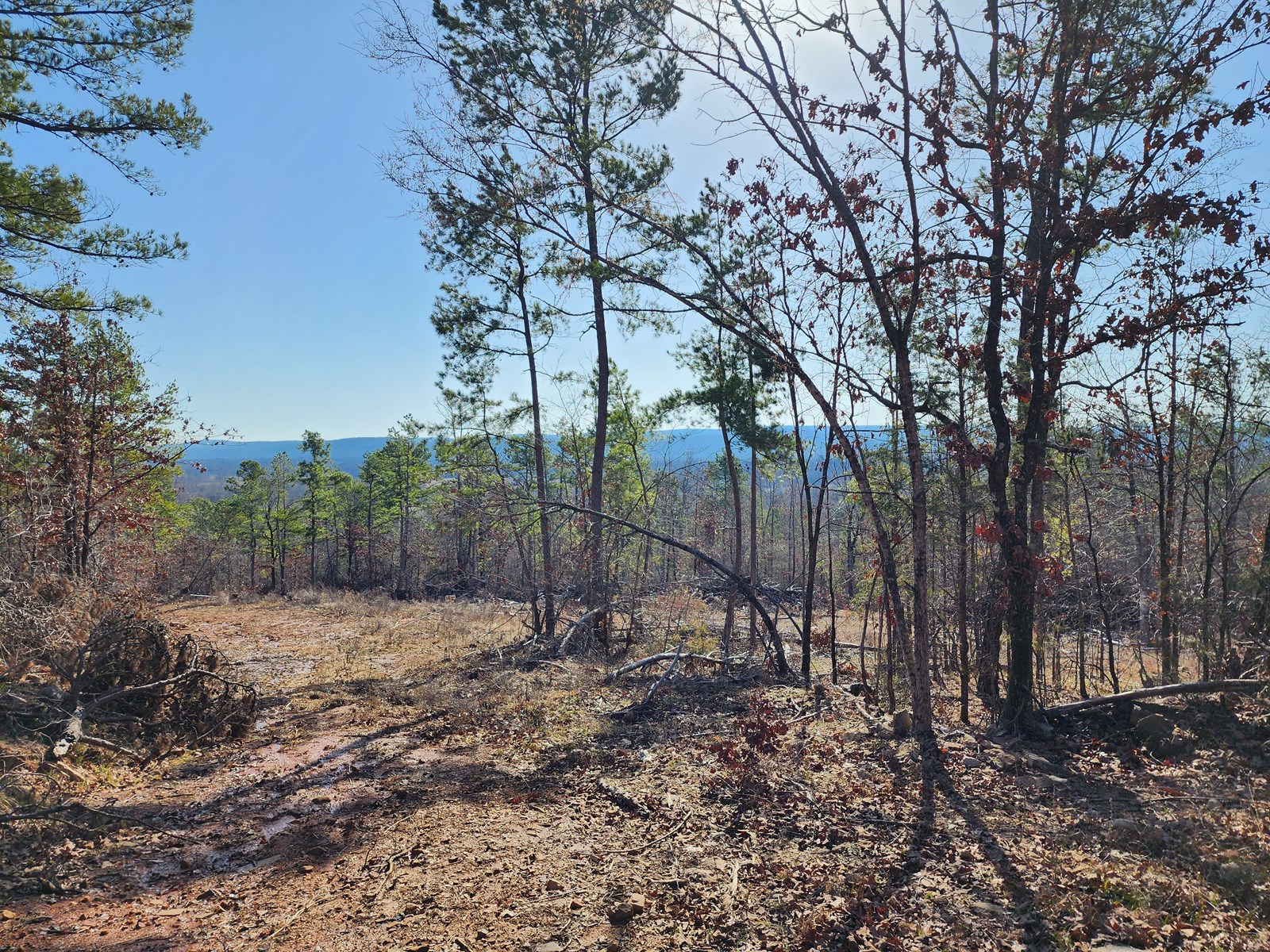 30 Acres – Near National Forest & Poteau River