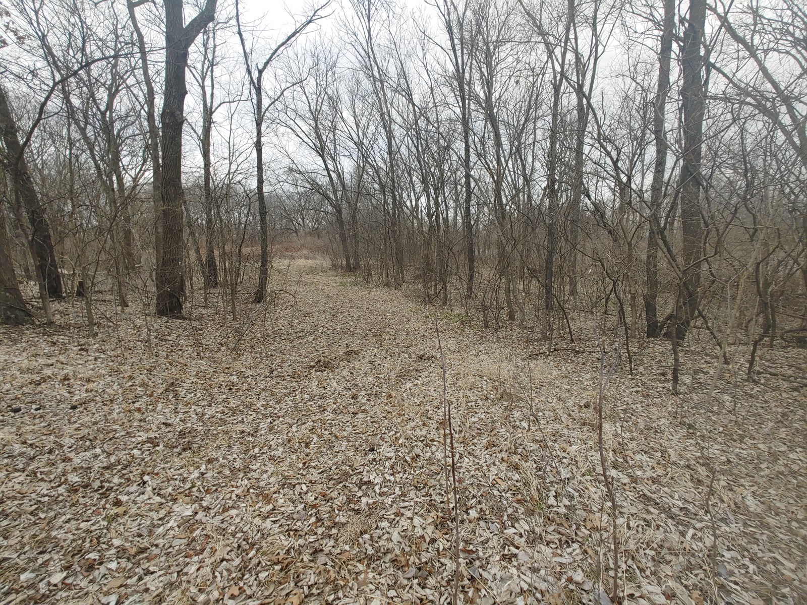 Affordable Recreational Farm Within An Hour of Kansas City
