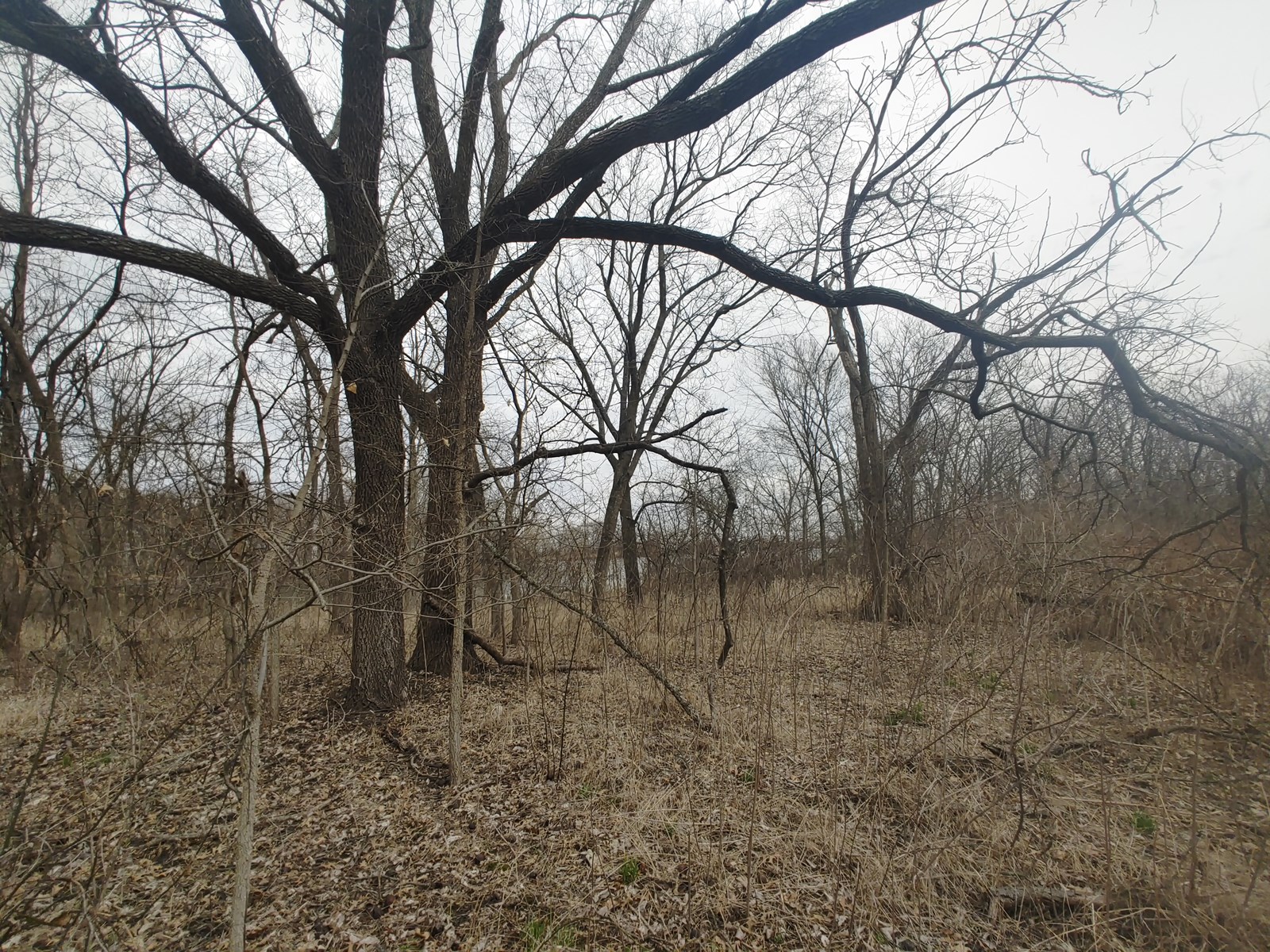 Affordable Recreational Farm Within An Hour of Kansas City