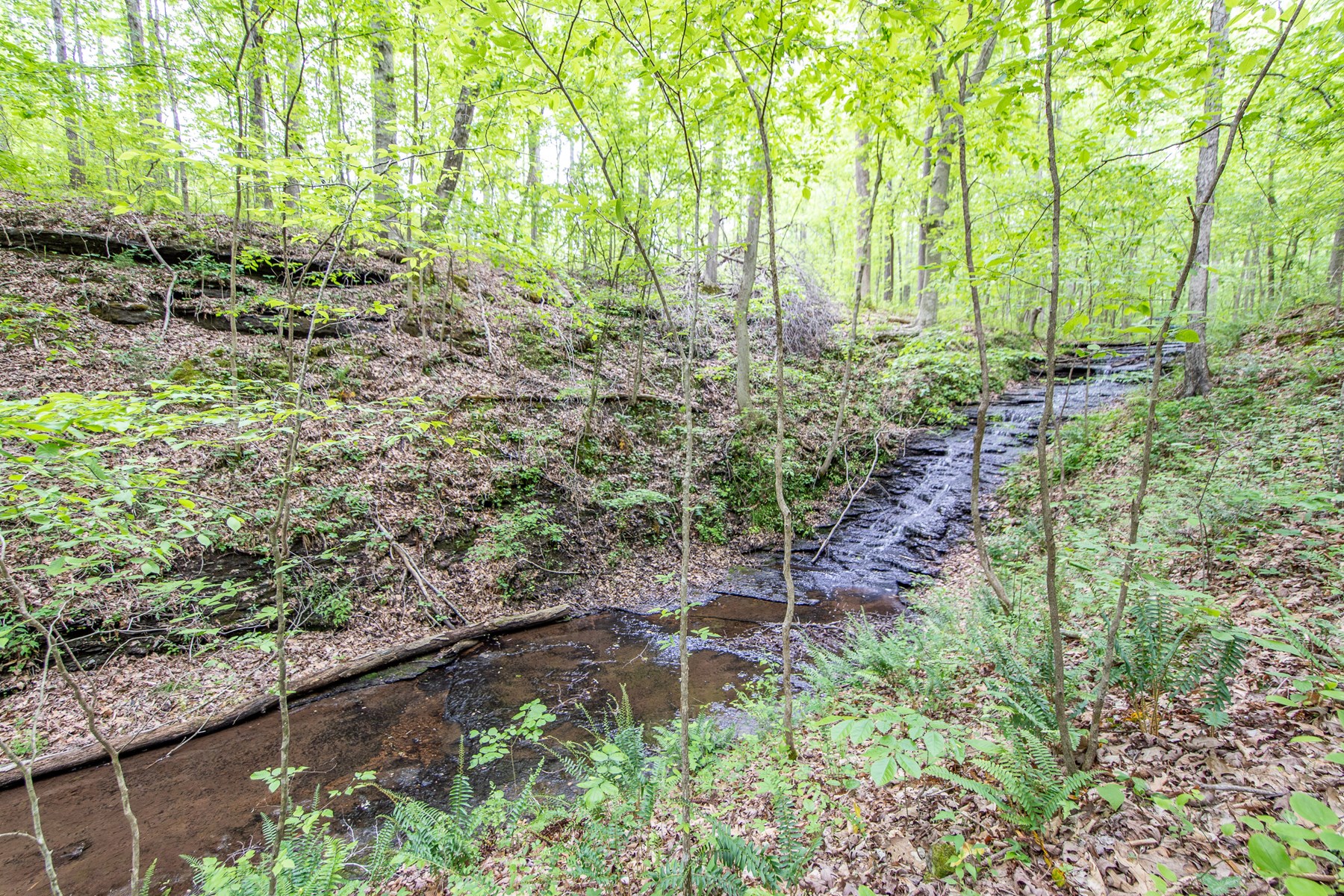 SOLD! 4 Bed 4 Bath Southern Tn Home 208 Ac Timber Springs