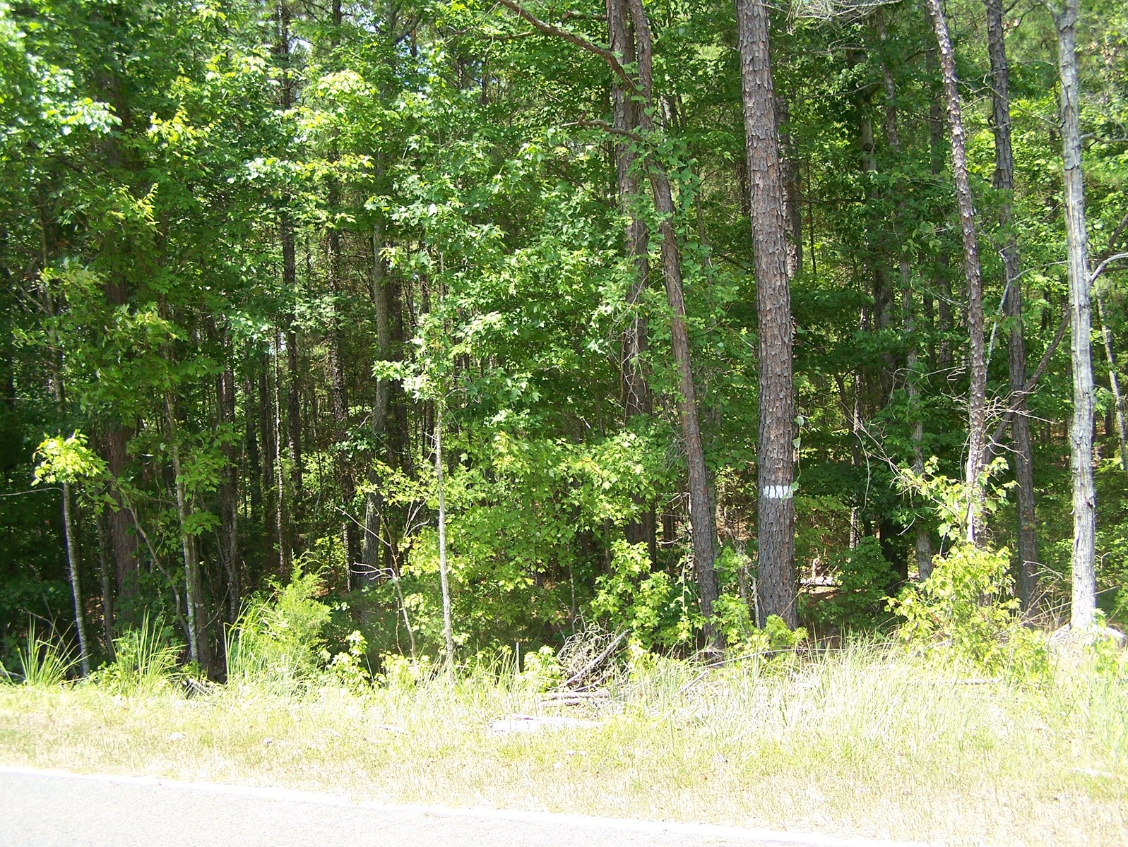 2.77 Acre Property with 233 Feet Road Frontage Winnsboro, SC