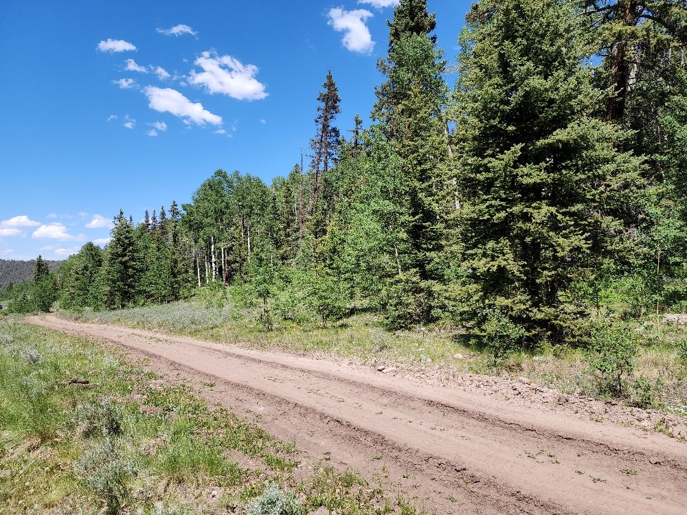 40 Acres in Powderhorn, CO