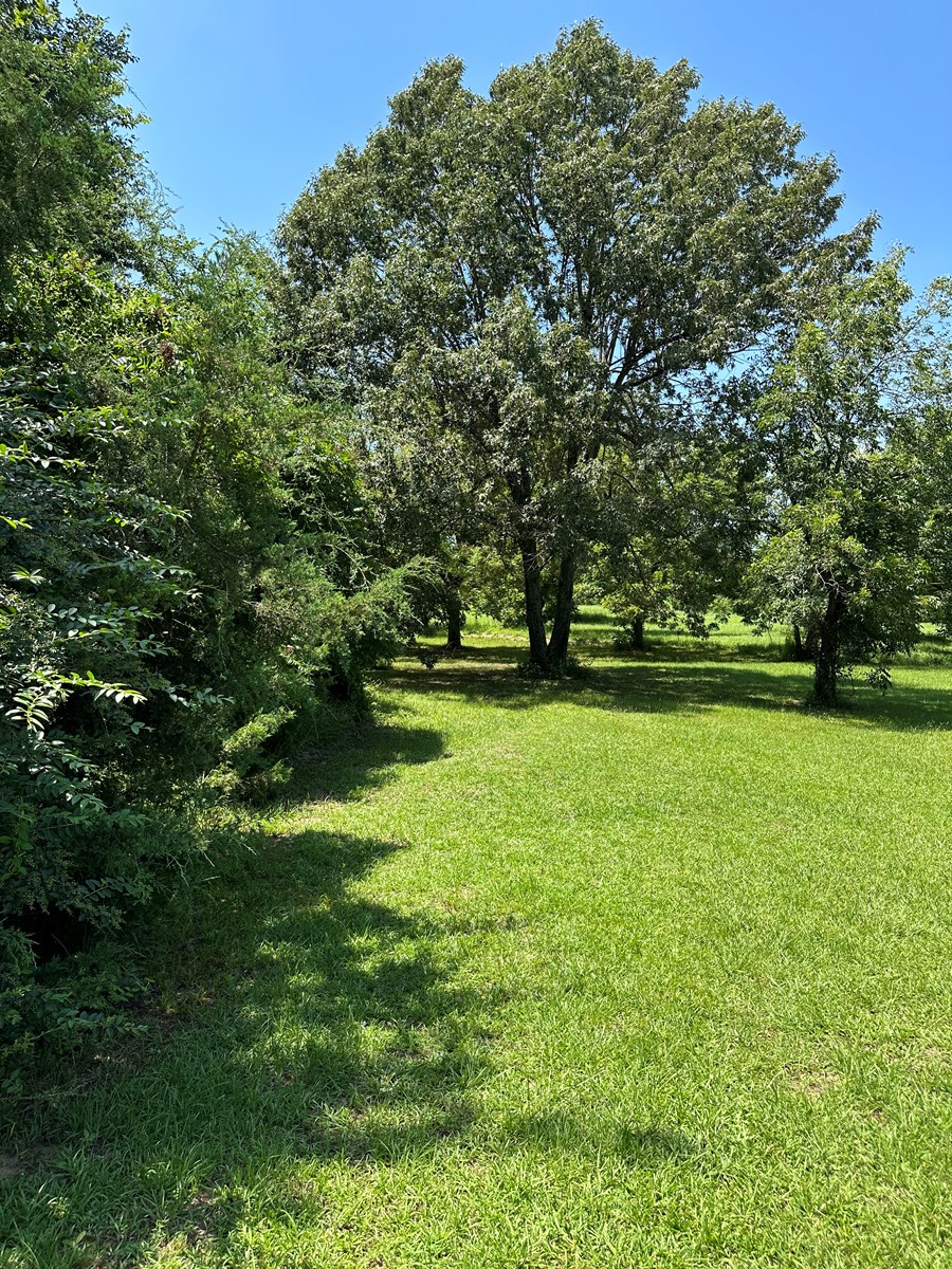 3 Bed 2 Bath Country Home & Large Shop On 10 Acres