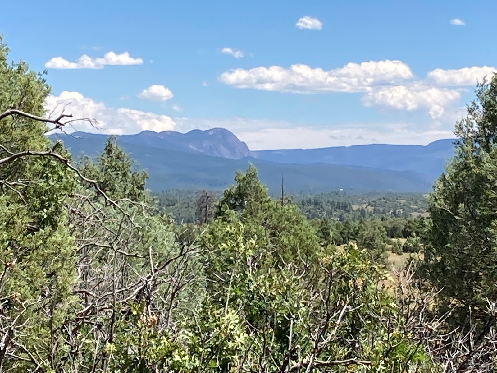 Beautiful 10 Acre Parcel