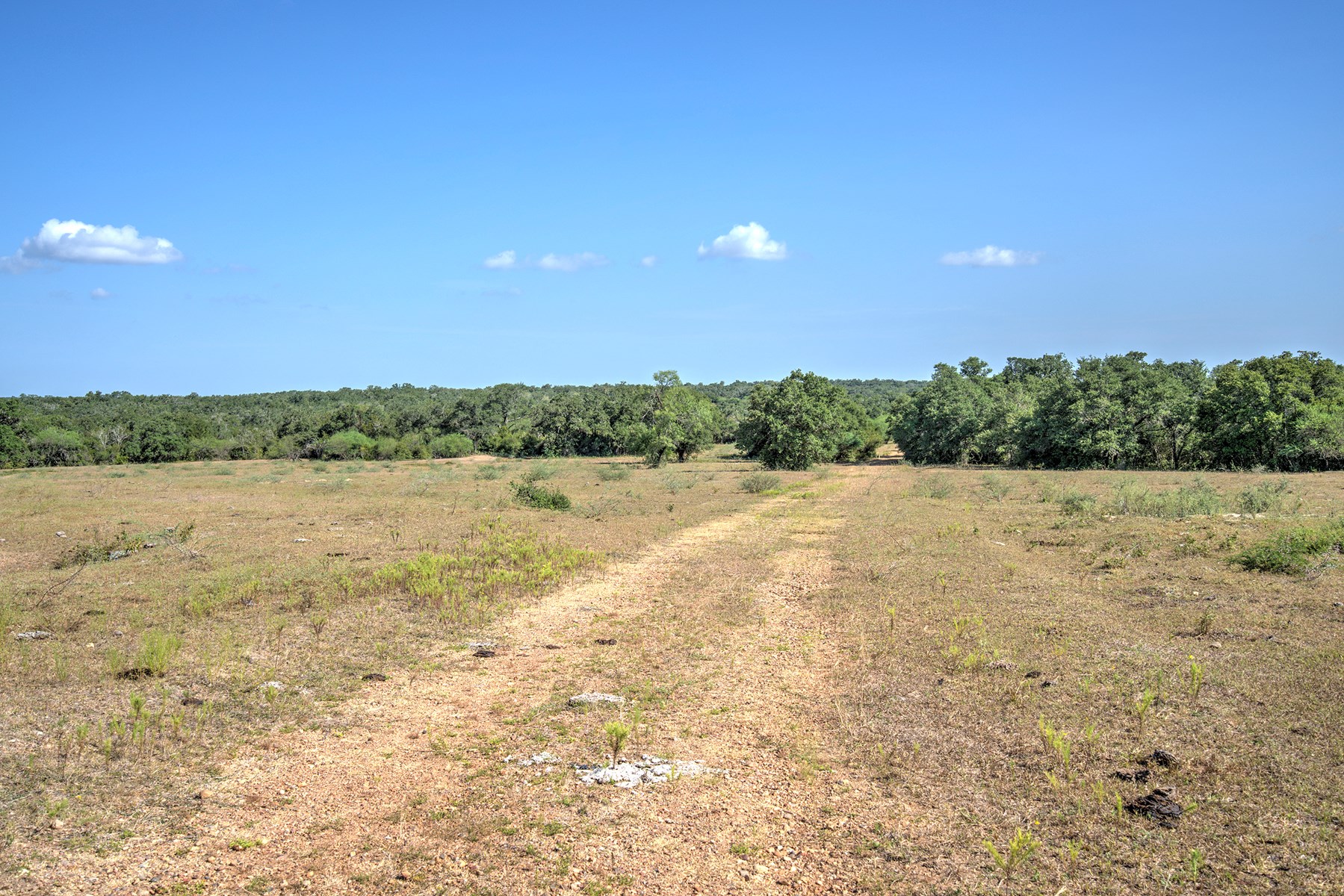 857 Acres in Dewitt County, Texas