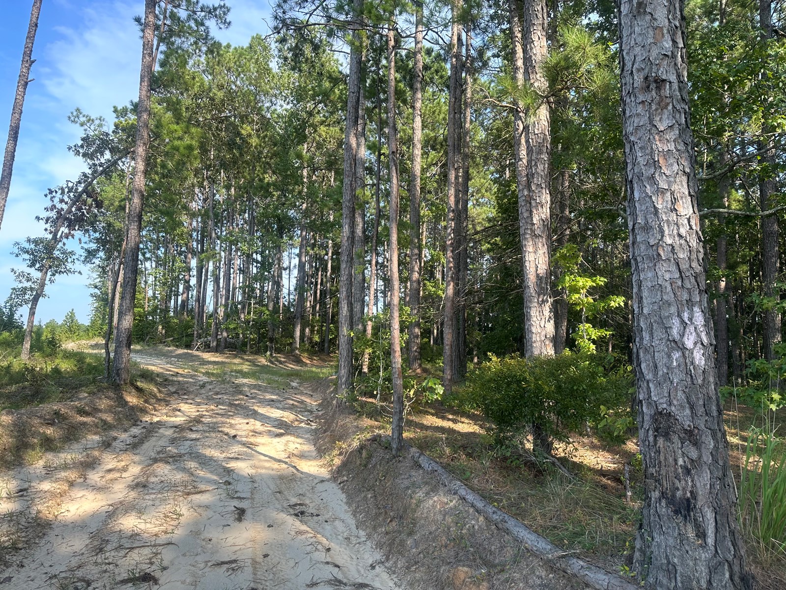 White Oak Lake/Poison Springs Property For Sale!!!