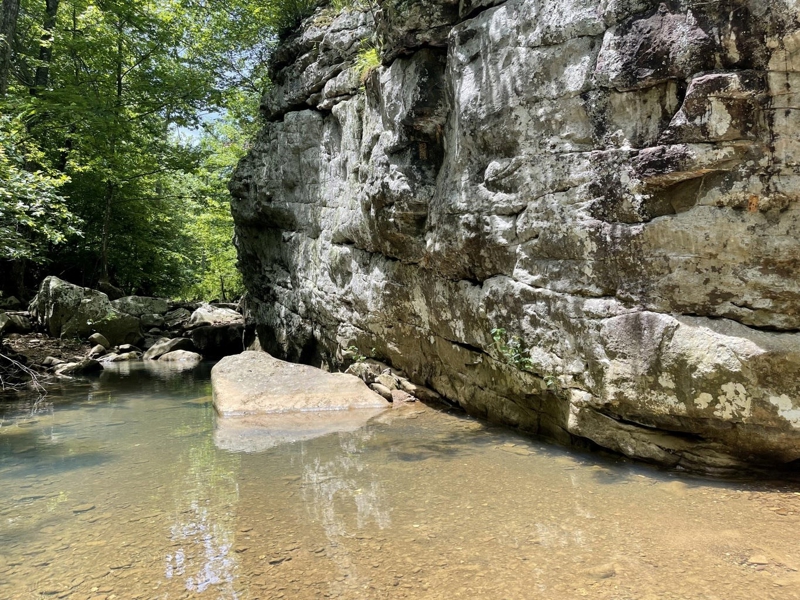 Terrapin Road Acreage For Sale With Creek