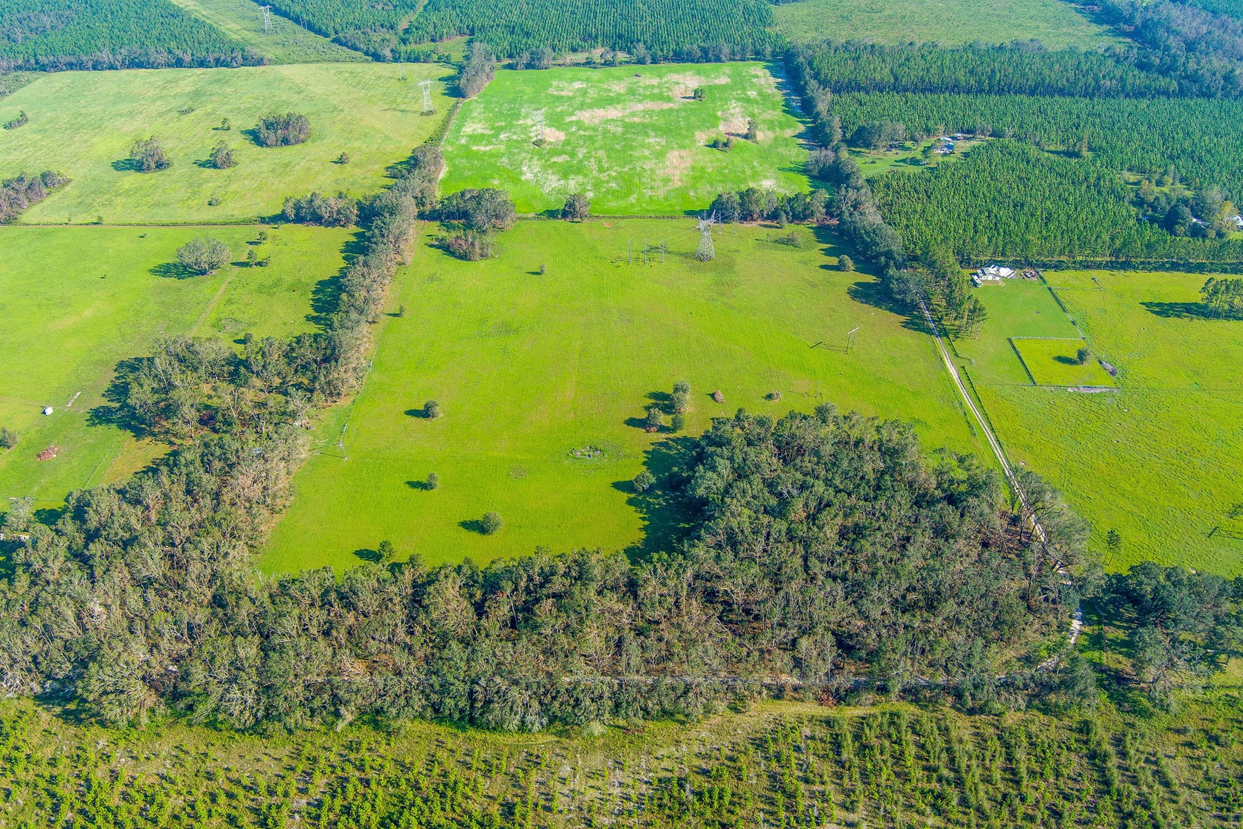 20 Acres in Beautiful Live Oak Florida!