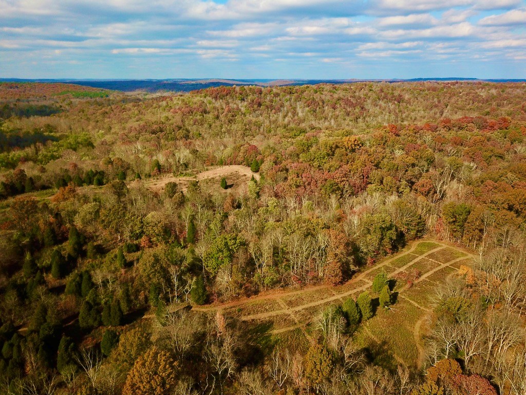 Paradise Bordering Hoosier National & Little Blue River