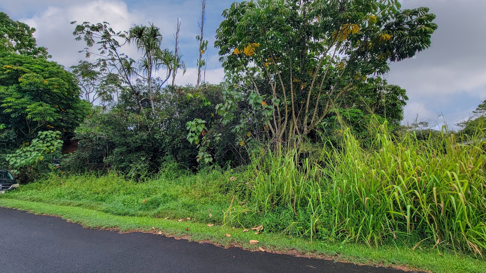 .26 Acre lot in Hawaiian Beaches Subdivision/Big Island HI