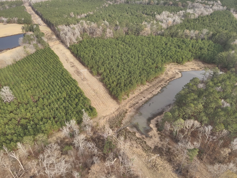 Diverse Stephens, AR Land for Sale!