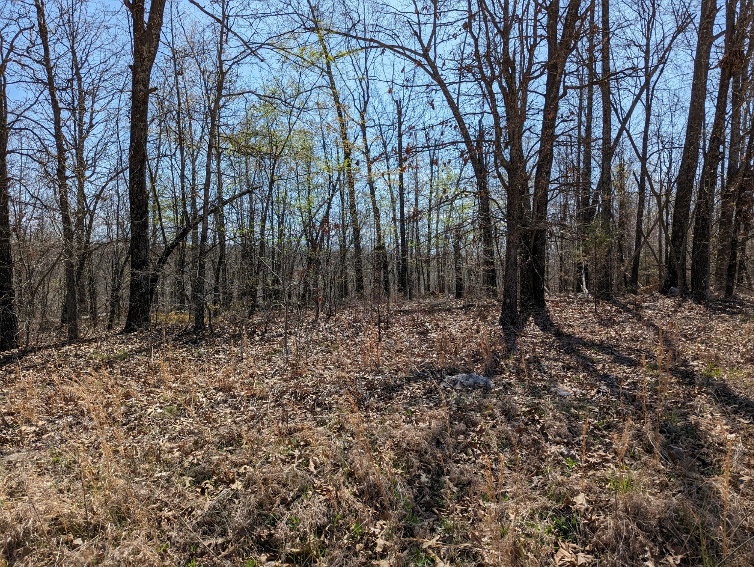 Ozarks Recreational/Hunting Land Near Ash Flat Ar