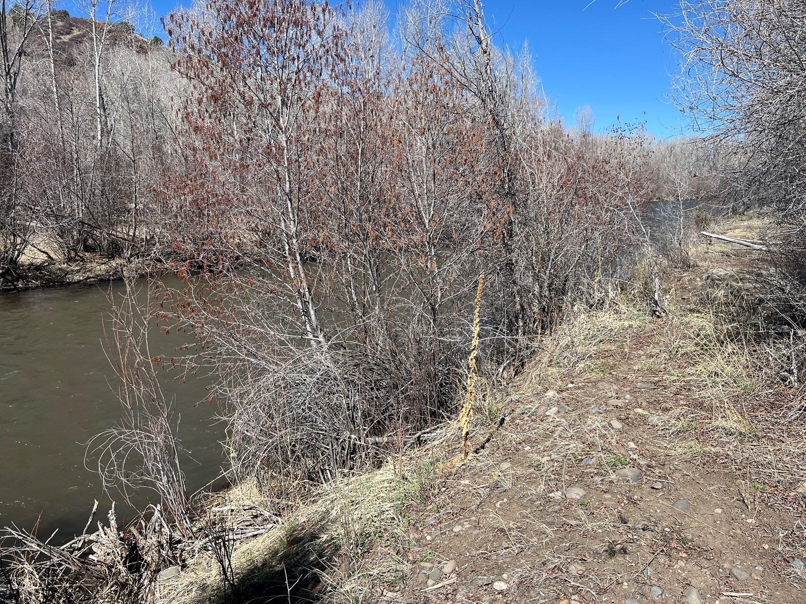 River View Property in the beautiful Chama Valley