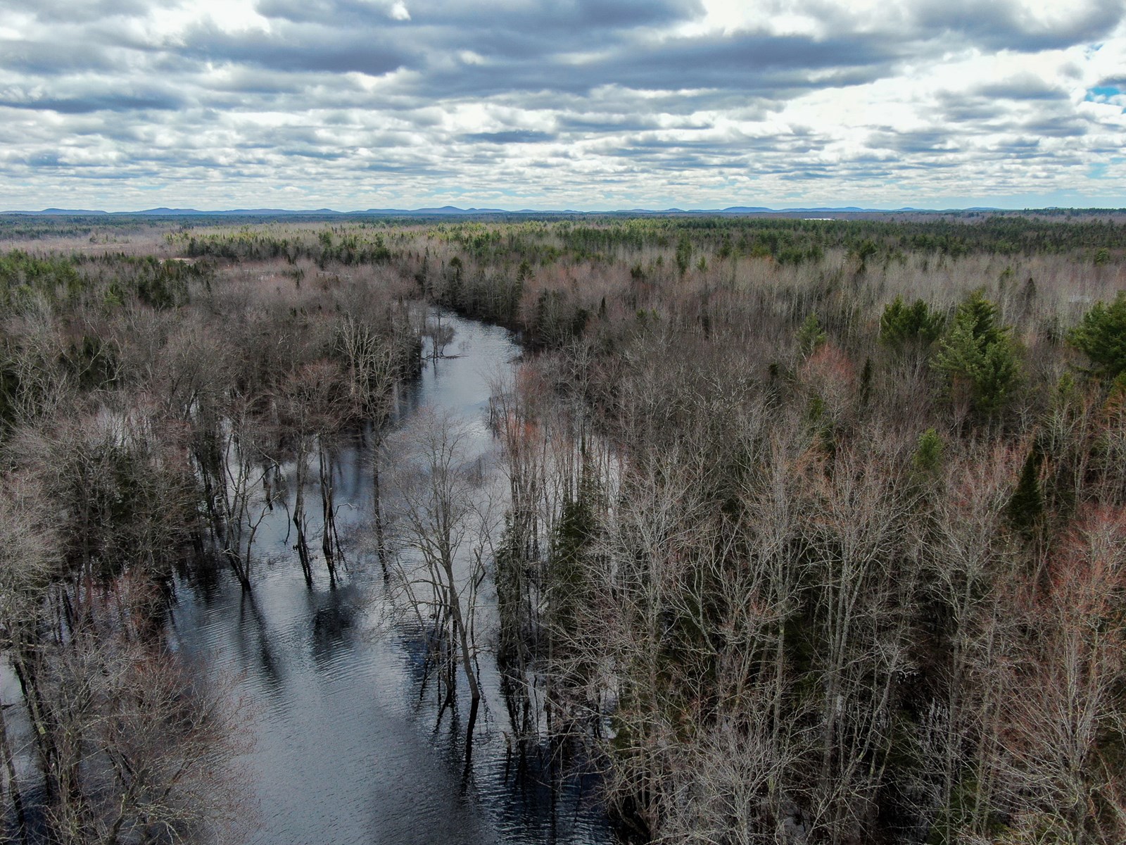 20+ Acres with Brook