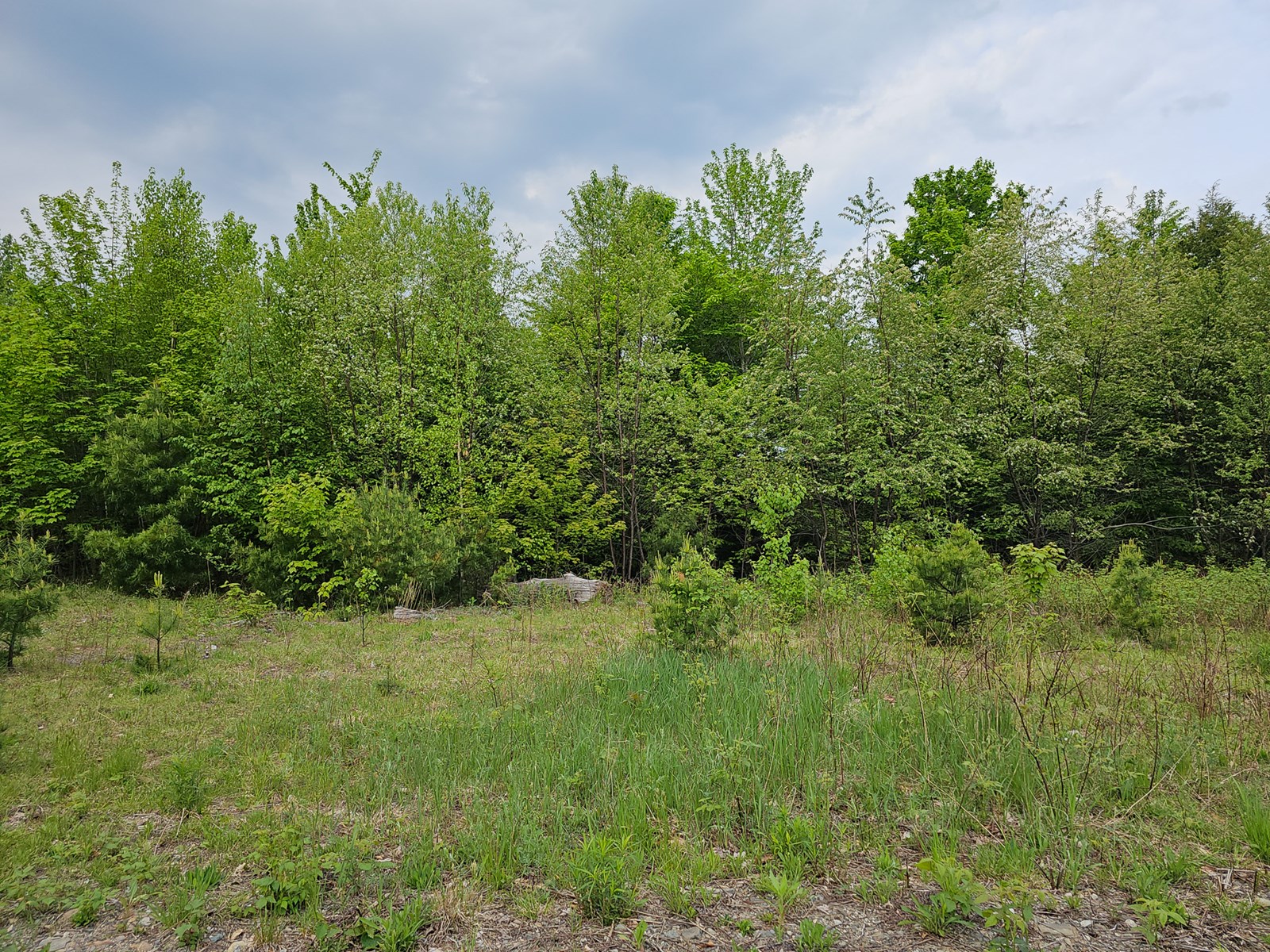 31 Acre Secluded Parcel