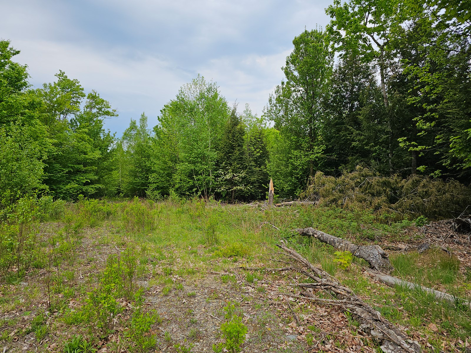 31 Acre Secluded Parcel