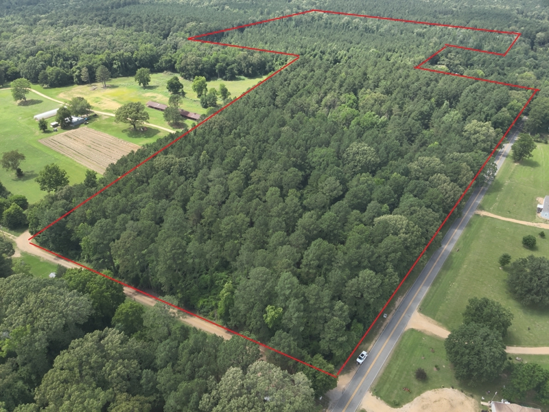 Old Field Pine Land for Sale W/ Utilities near Camden, AR