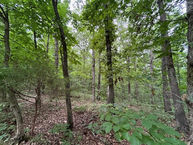 Wooded Land With No Restrictions