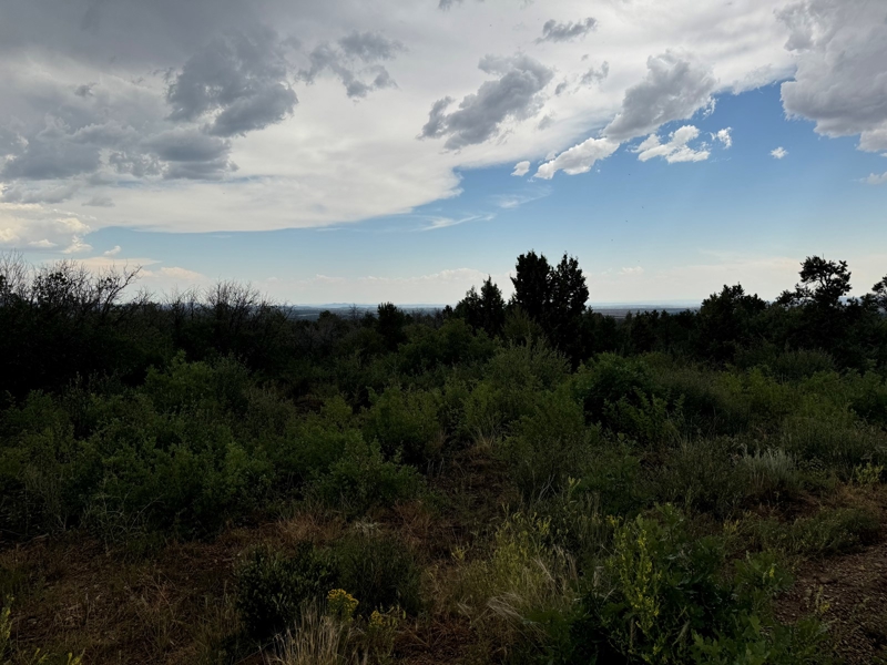 For Sale in Hesperus, CO!