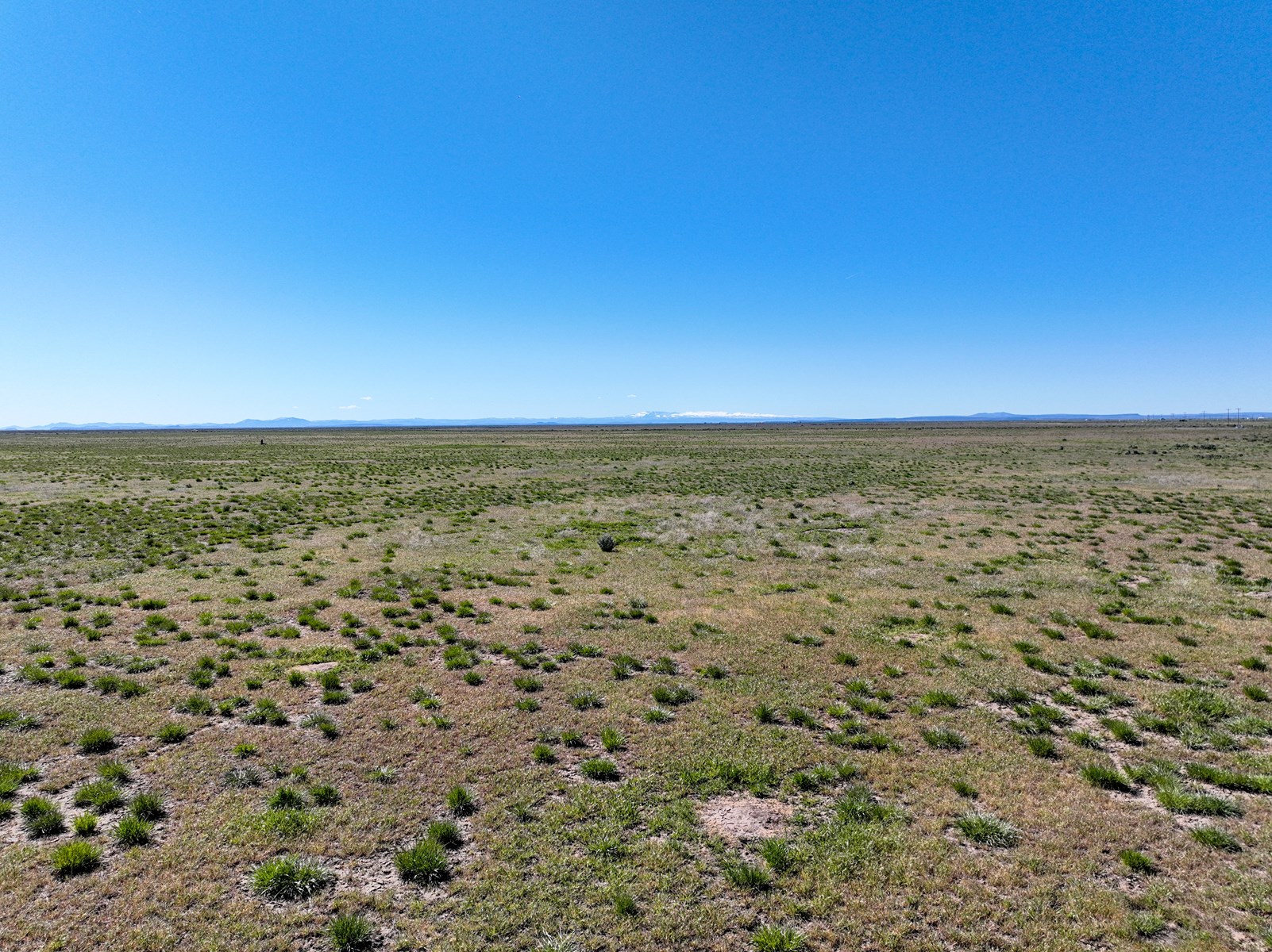 Eastern Oregon Highway 205 Acreage