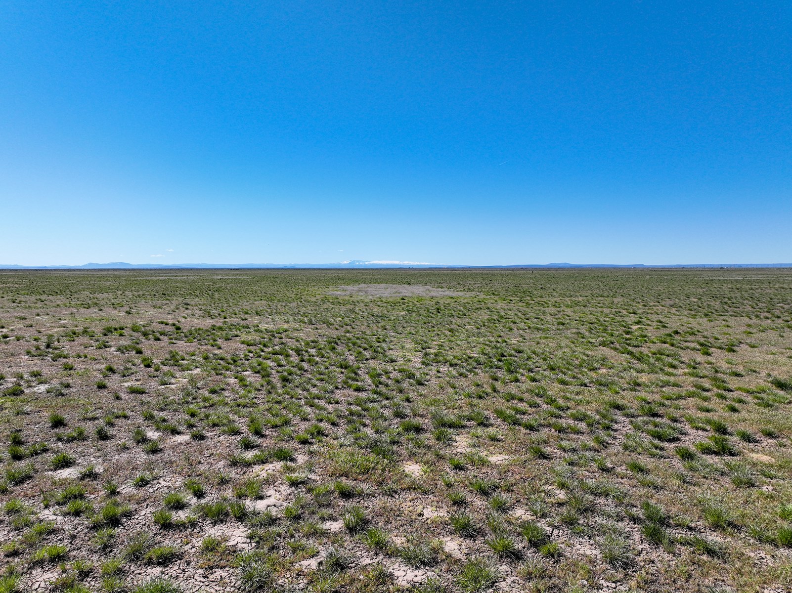 Eastern Oregon Highway 205 Acreage