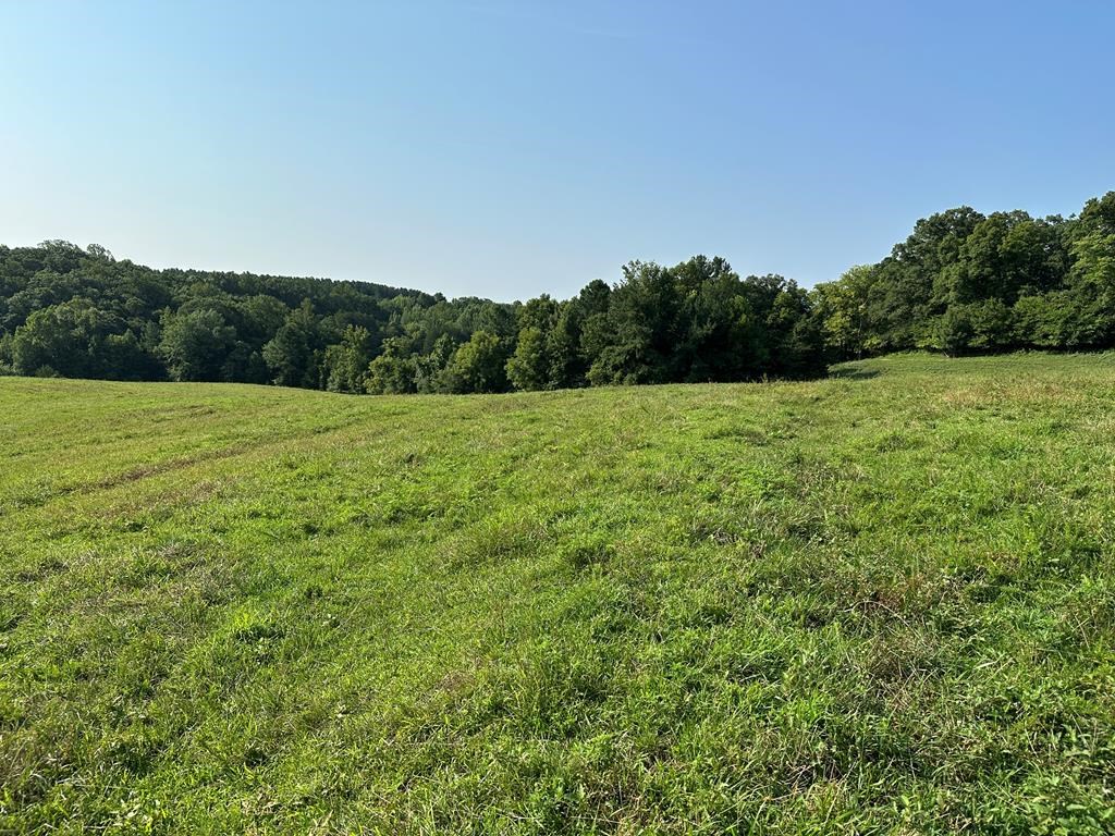 78-Acre Farm with Pond and Pastures in Halifax County, VA