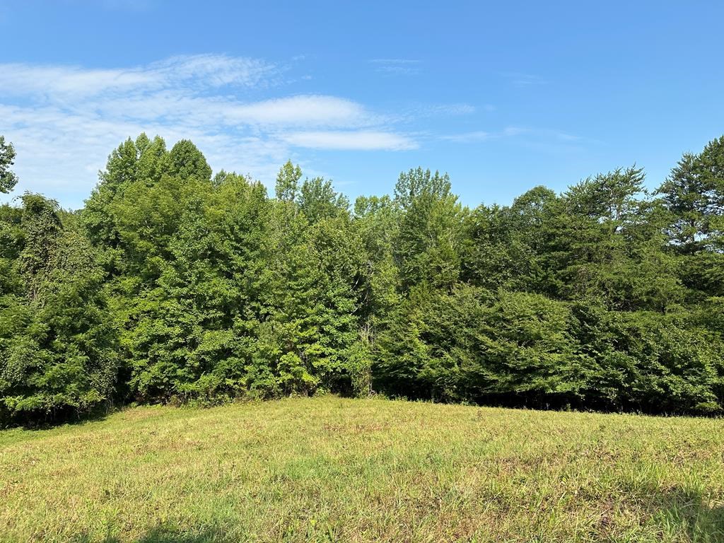 78-Acre Farm with Pond and Pastures in Halifax County, VA