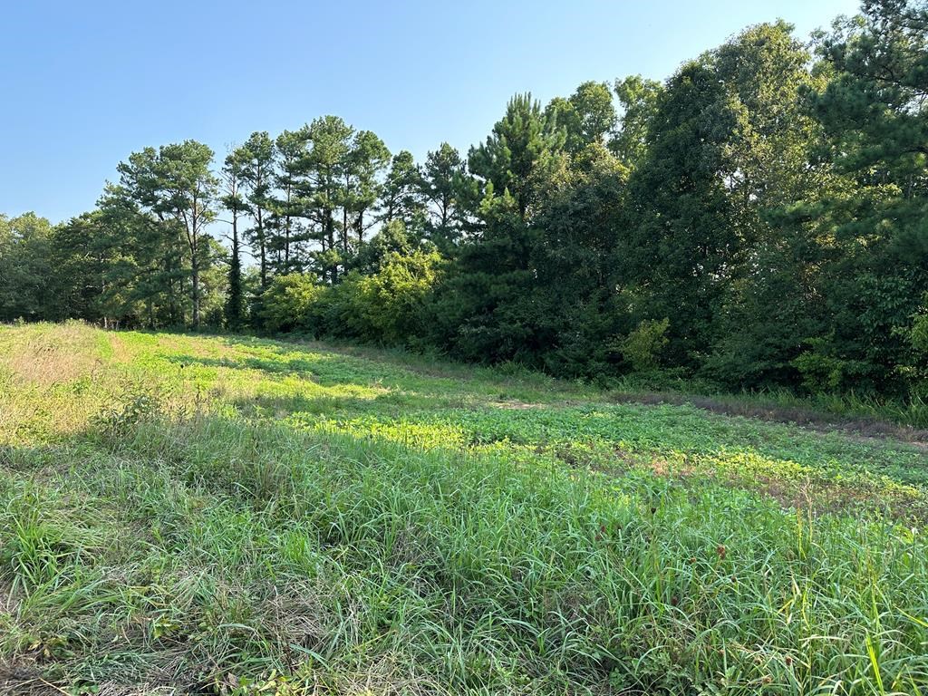 78-Acre Farm with Pond and Pastures in Halifax County, VA