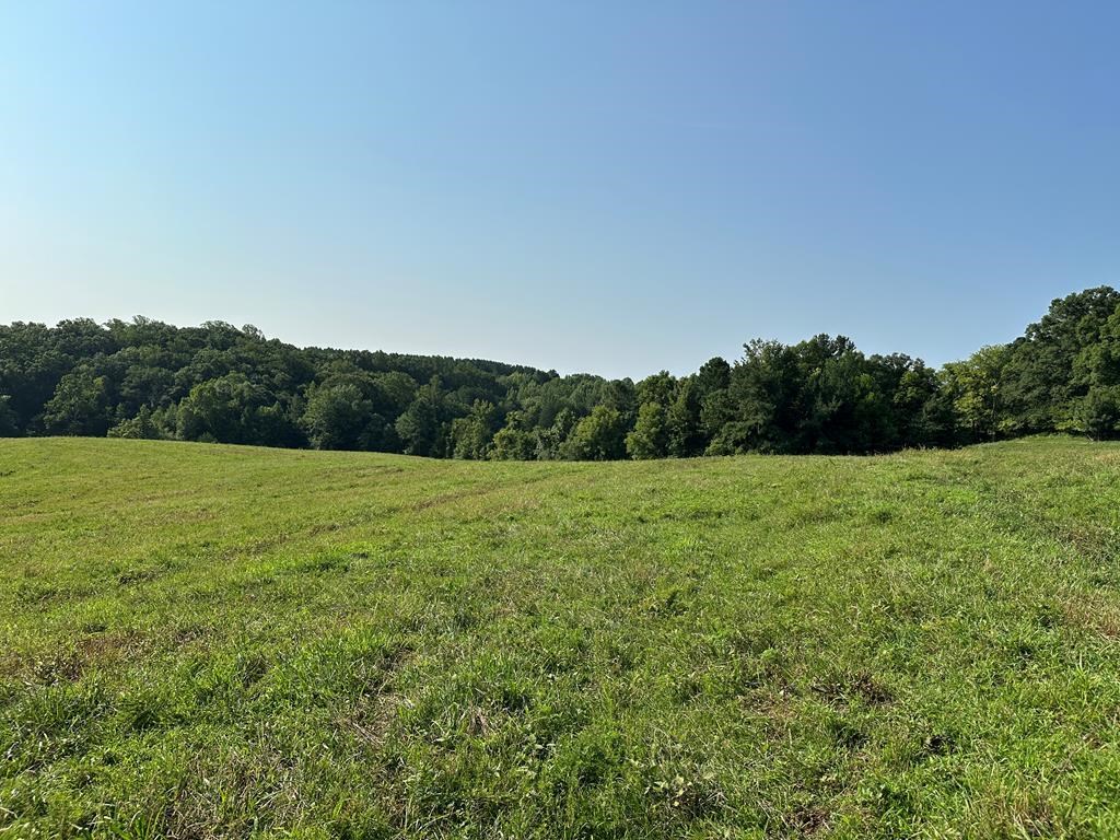 78-Acre Farm with Pond and Pastures in Halifax County, VA