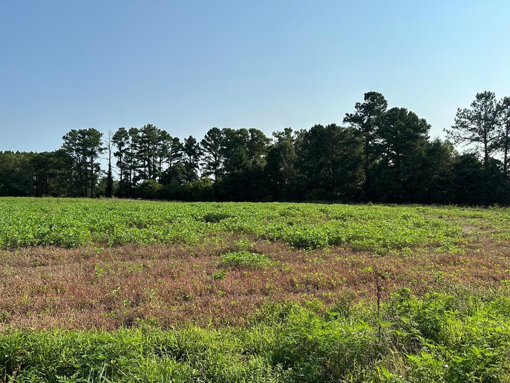 78-Acre Farm with Pond and Pastures in Halifax County, VA