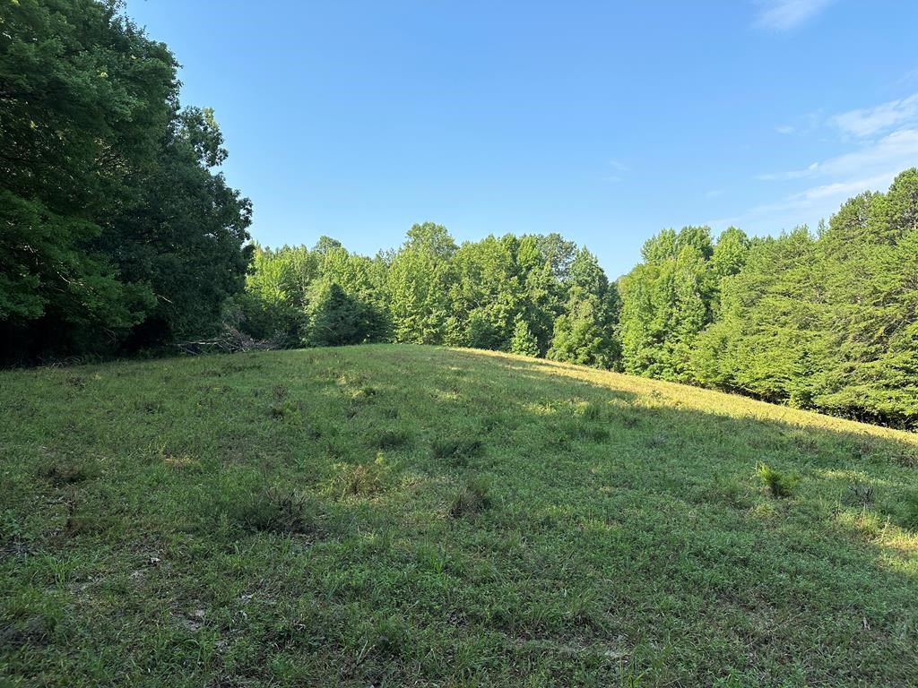 78-Acre Farm with Pond and Pastures in Halifax County, VA