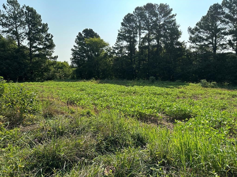 78-Acre Farm with Pond and Pastures in Halifax County, VA